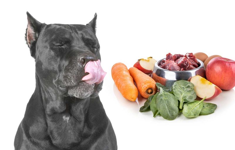 3 alimentos saludables para tu perro Cane Corso. Consejos sanos!
